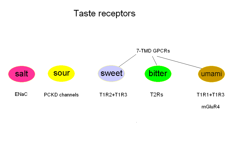 Smell etcetera (Home): Taste