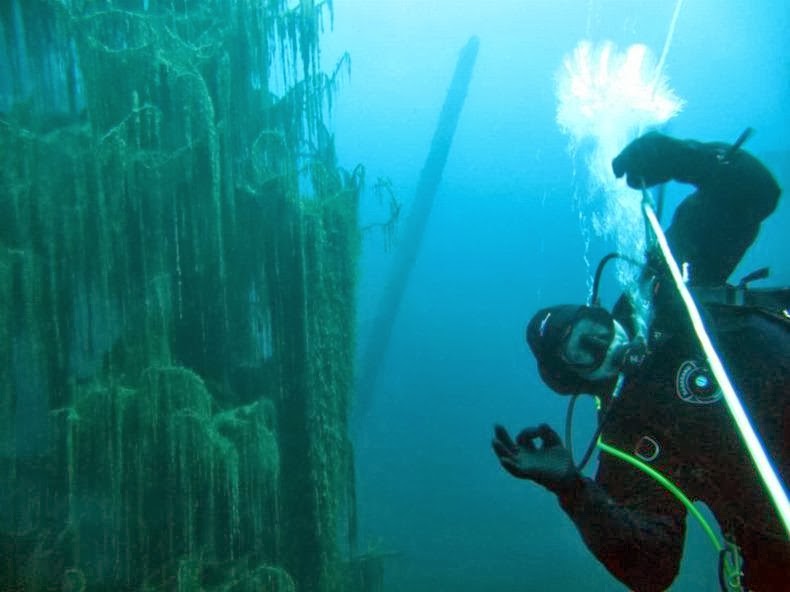 Mundo Curioso : A FLORESTA SUBMERSA DO LAGO KAINDY - CAZAQUISTÃO