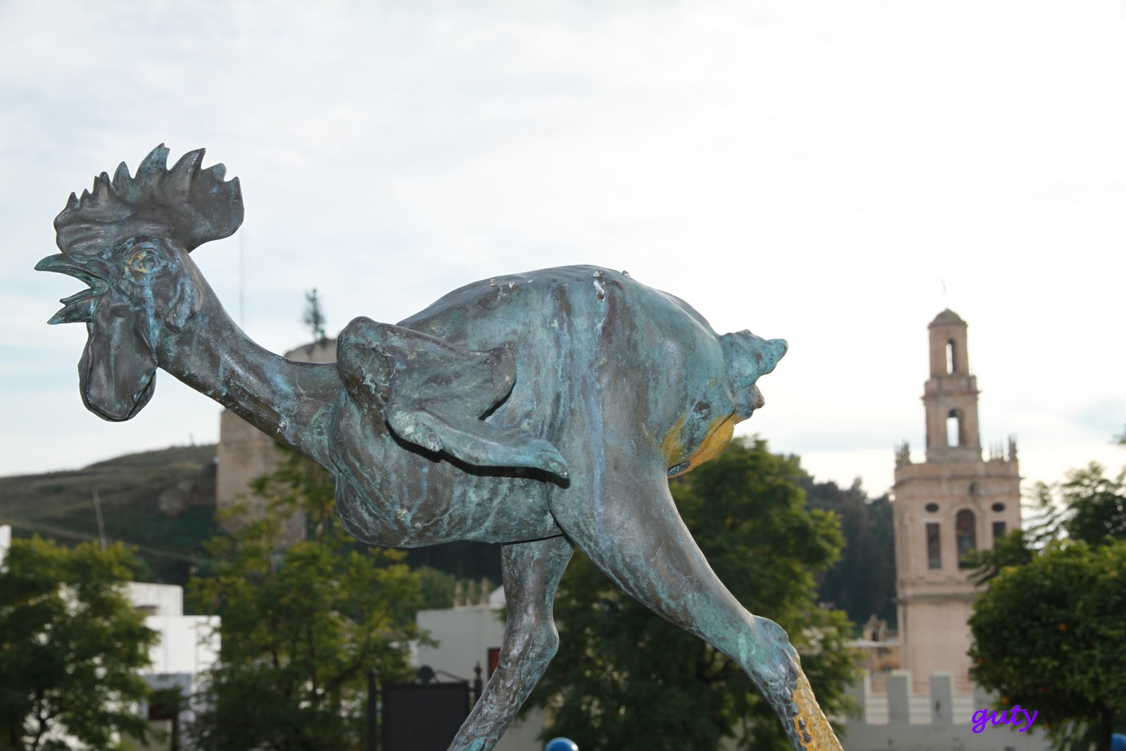 Fotografias: El Gallo y el Caballo de Moron.