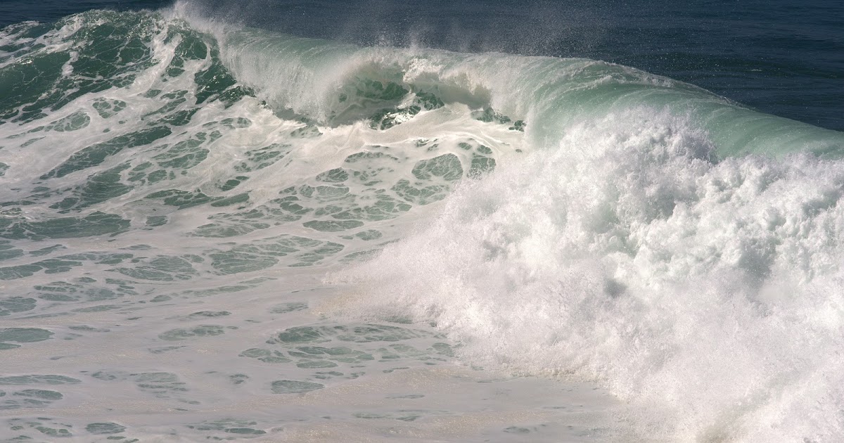 Fototeka, bizileku: Udazkeneko balsa - Autumn Waltz