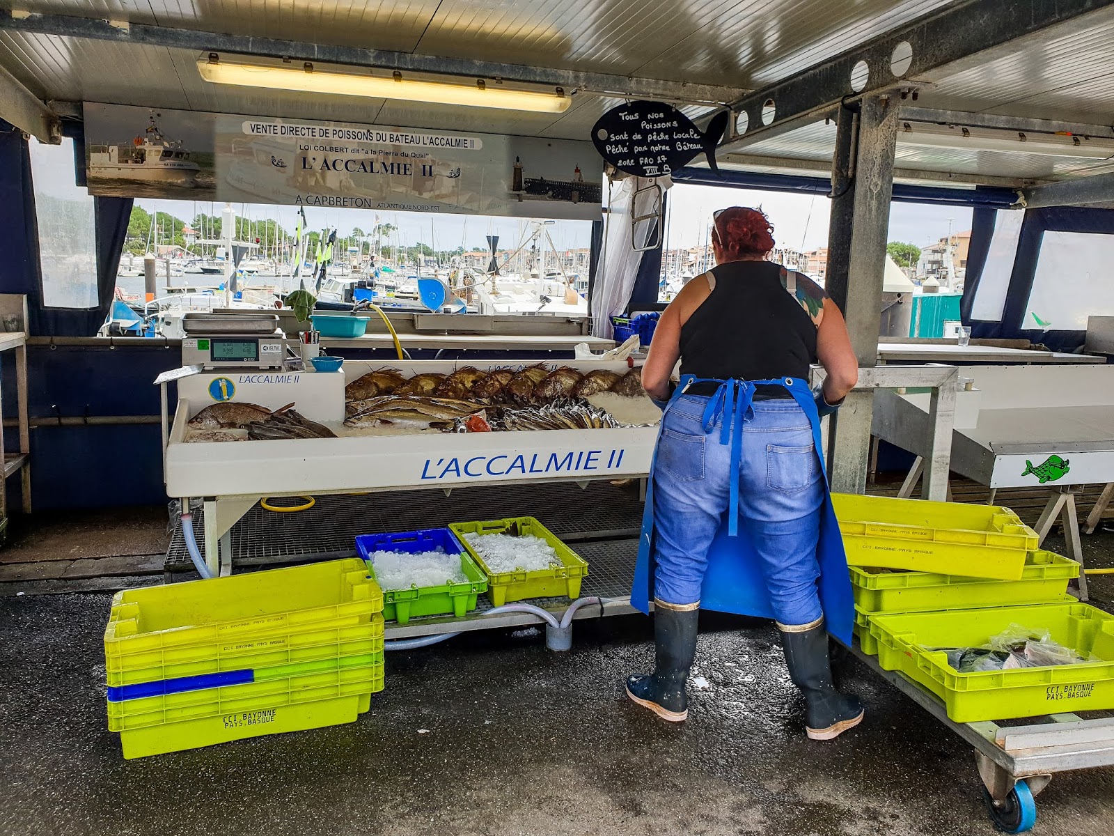 Beth Haslam - Author of the Fat Dogs and French Estates series: 2019