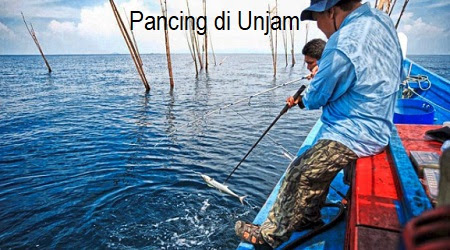 Anim Agro Technology: UNJAM - APA PENTINGNYA? (Part 2)