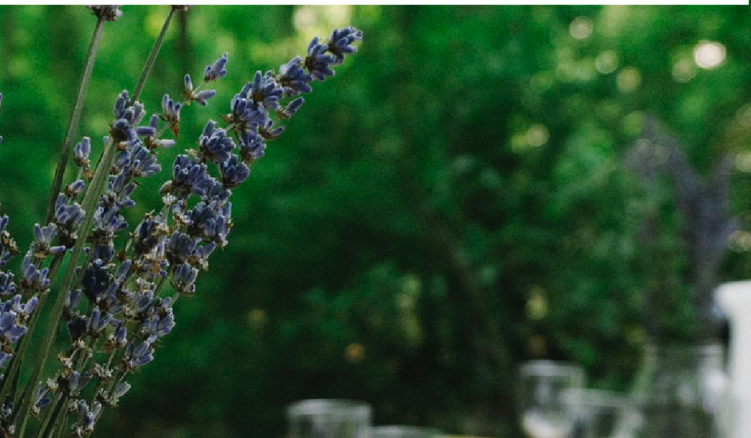 The Second Passover (Pesach Sheni )