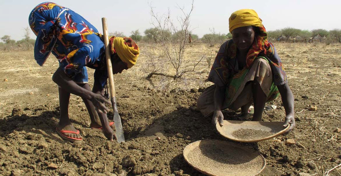 ESCASEZ DE ALIMENTOS
