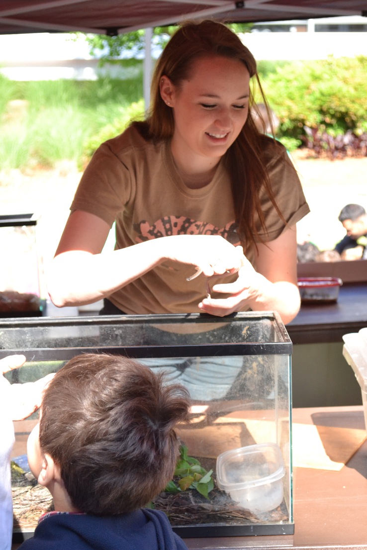 Salamander-Shmalamander: Get To Know a (Future) Grad Student: Cyndi Carter