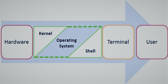What is Operating System