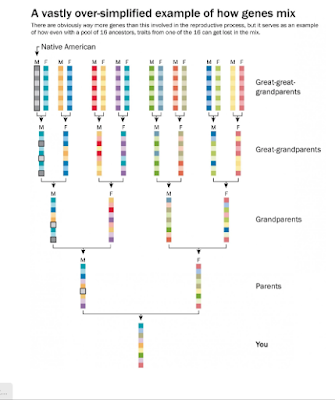 More Thoughts From New Mexico: Genetic Testing For Native American Roots