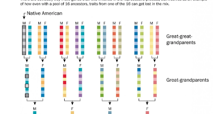 More Thoughts From New Mexico: Genetic Testing For Native American Roots