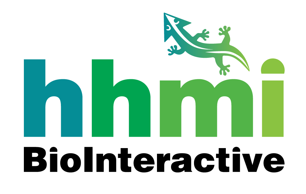 English Elda: HHMI BioInteractive @BIOINTERACTIVE
