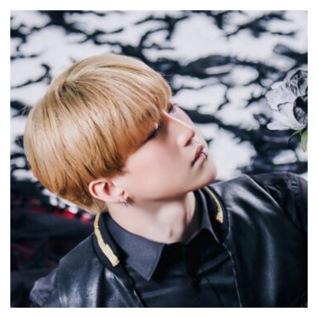 NOIR tagok - My k-blog