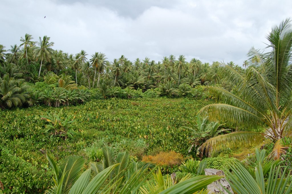 NIUTAO MUSEUM: PLACE