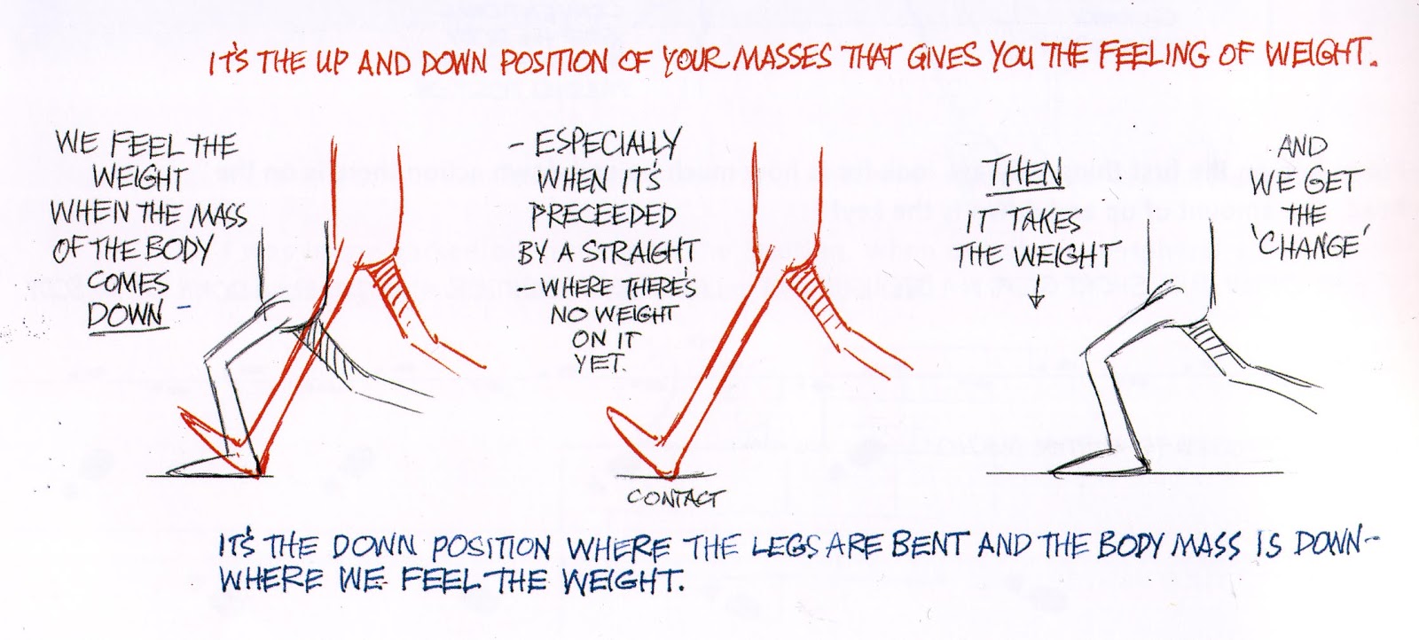 DLSY9mediastudies: Walk Cycle