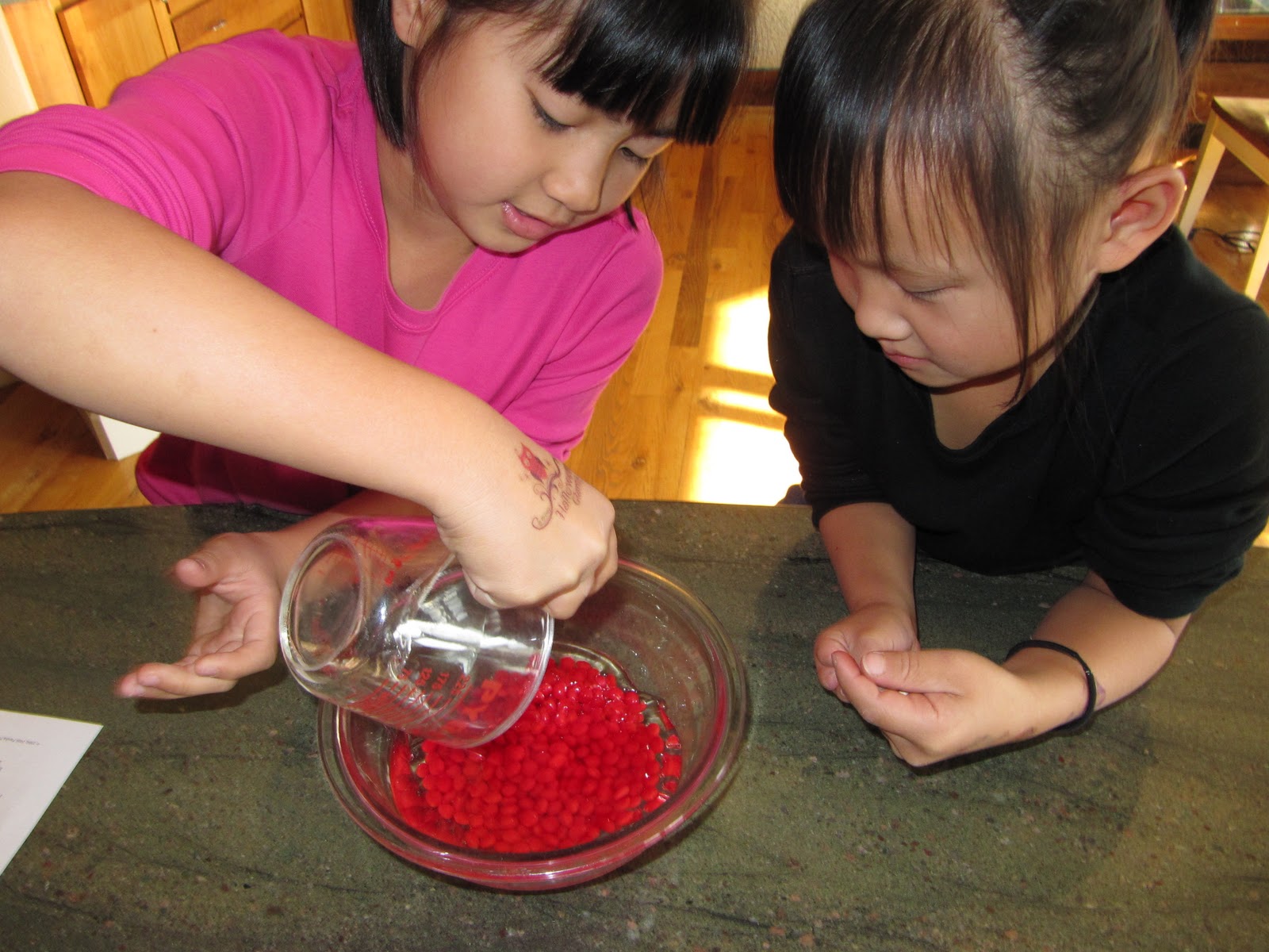HOMESCHOOL NINJAS: Homemade Blood Model