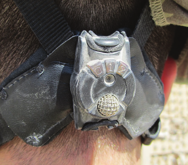 MEGACHIROTTERA: Defense Advanced Research Projects Agency - DARPA