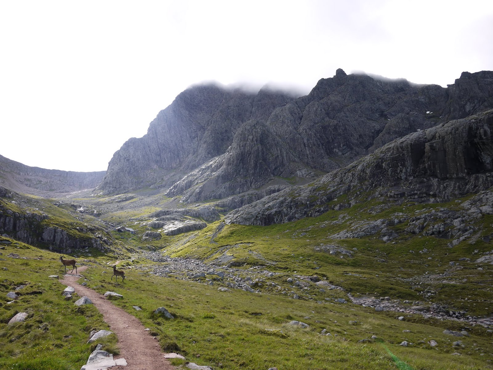 TARMACHAN MOUNTAINEERING: OBSERVATORY GULLY, BEN NEVIS
