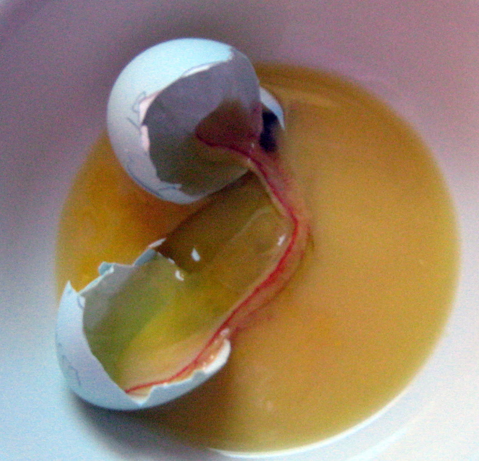 Let's Hatch Chicks! A Day-by-Day Egg Hatching Tutorial - Fresh Eggs ...