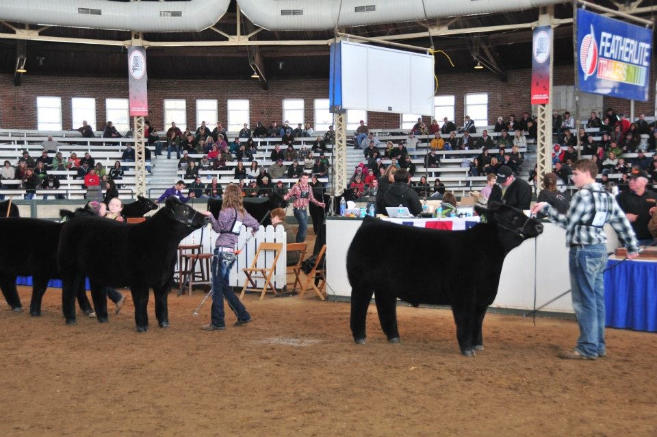 Trausch Farms: Iowa Beef Expo
