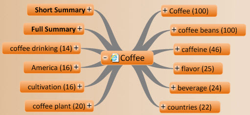 WebSummarizer: Creating mind maps with WebSummarizer