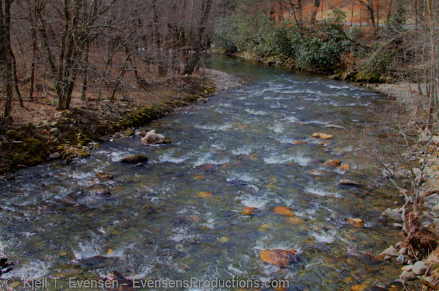 Eye of the Big Dog: Oconaluftee River, Cherokee, NC.