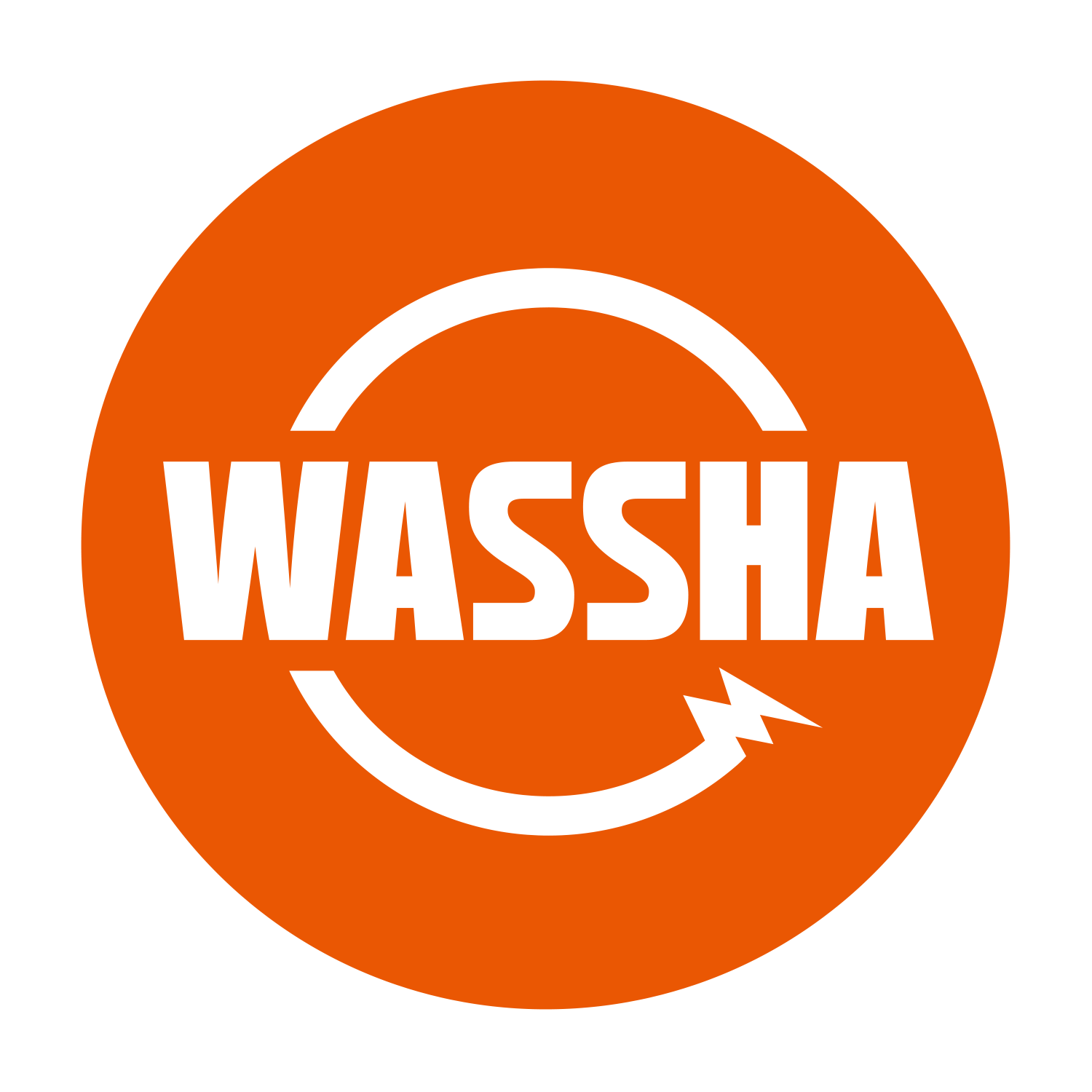 Job Opportunities MWANZA and DSM at WASSHA Inc Tanzania - Assistant ...