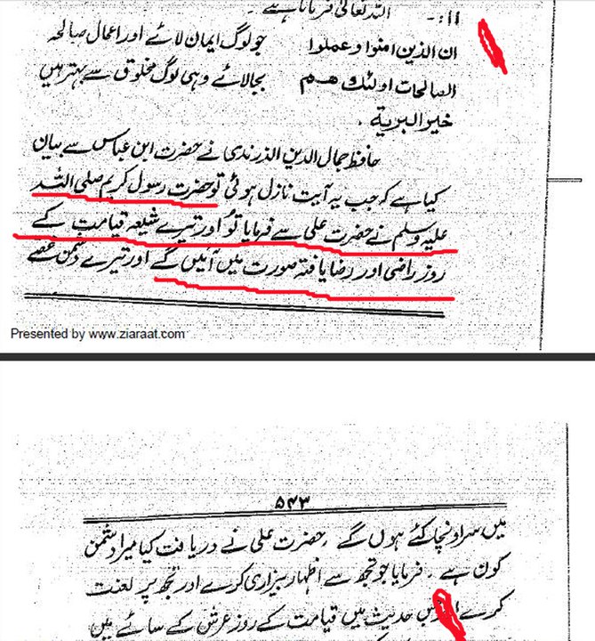 What is Shia - HUSSAINIAT ZINDABAD