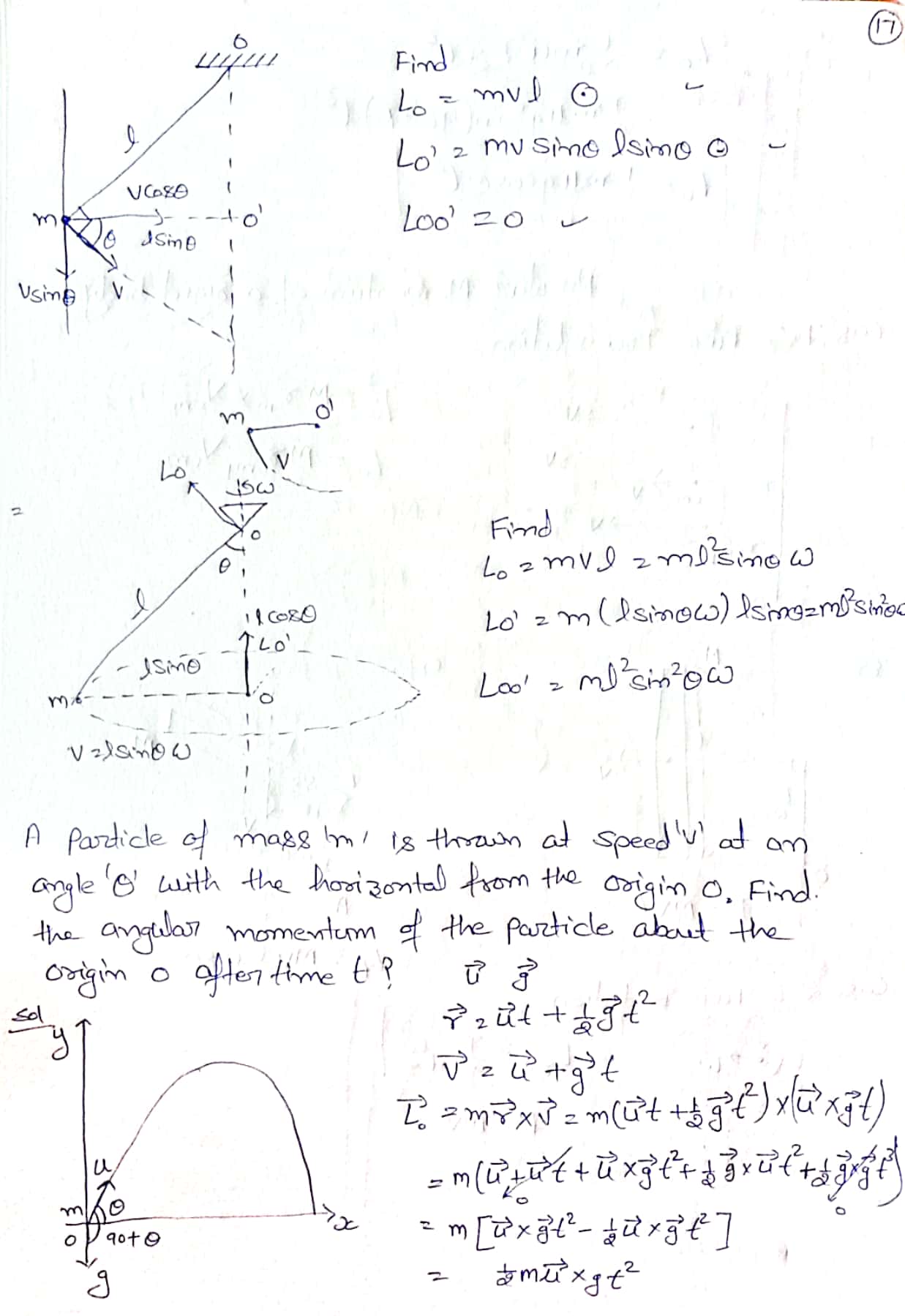 Rotation notes - Studypur
