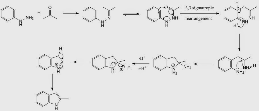 Synthesis of Heteroaromatic Compounds: Indoles and 6-Membered Rings