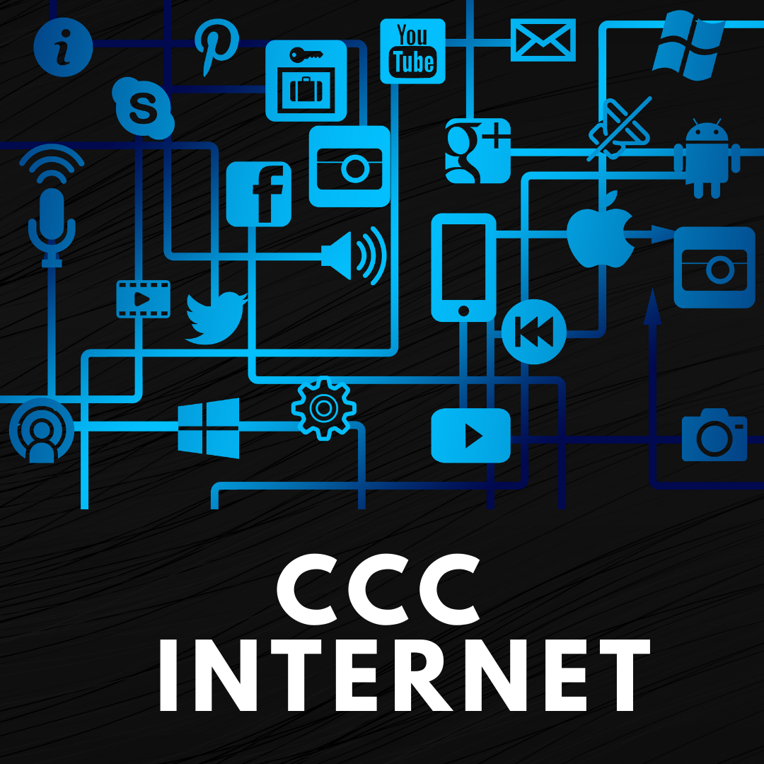 INTERNET TEST (CCC) ~ Ssbtechcomputer