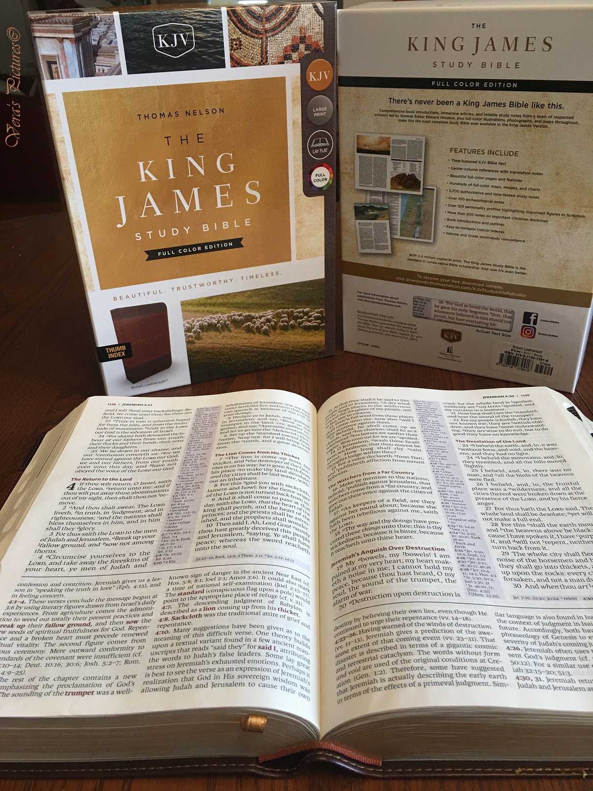 Chat with Vera: The King James Version Study Bible, Full Color ...