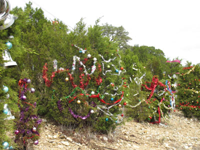 GOING ON ADVENTURES: Holiday spirit shines from decorated roadside trees