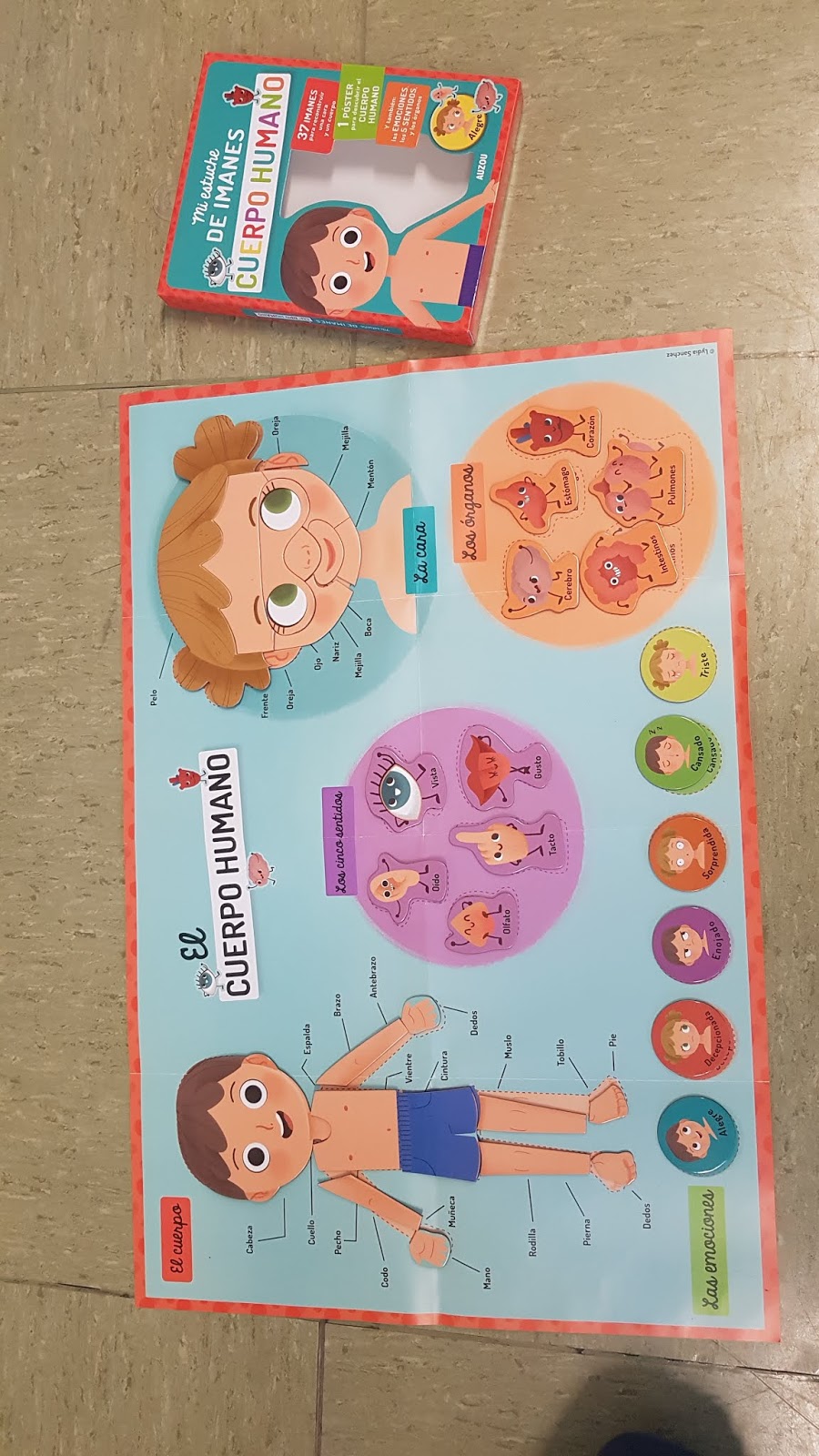 Educación Infantil en el Machado de Valladolid: Juegos en clase VII ...