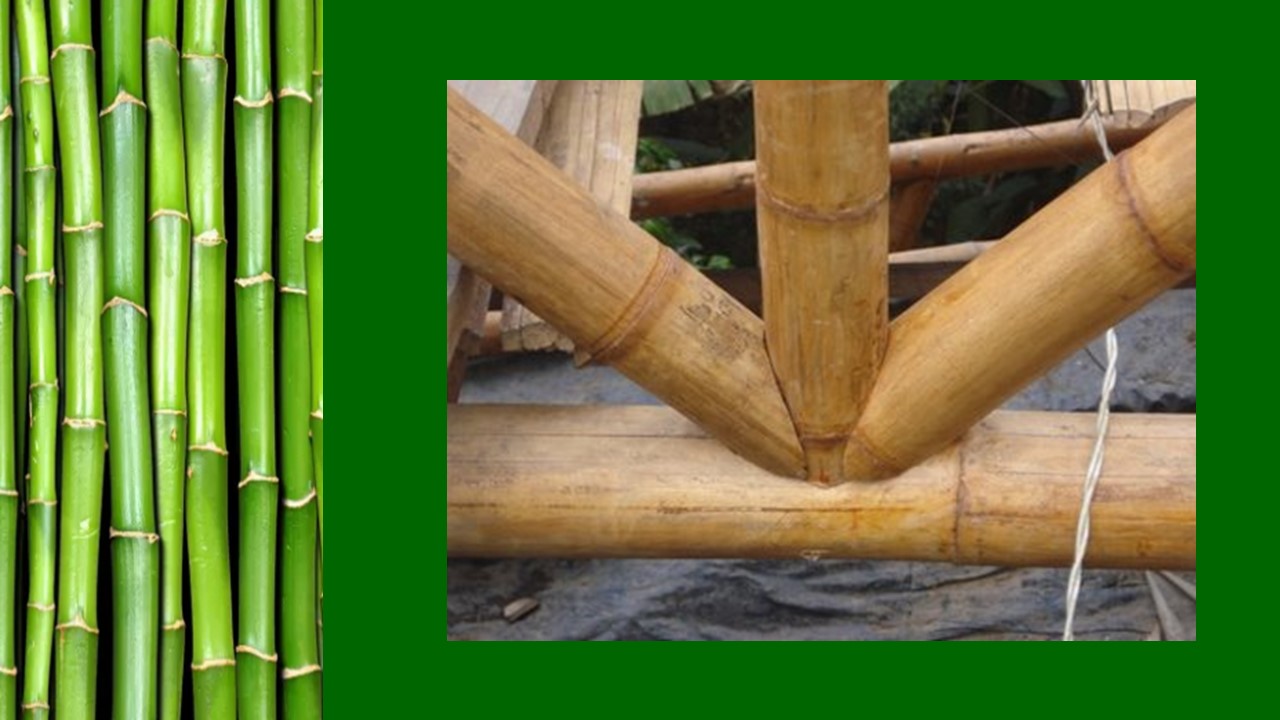 APUNTES - REVISTA DIGITAL DE ARQUITECTURA: UNIONES Y CONECTORES PARA ...