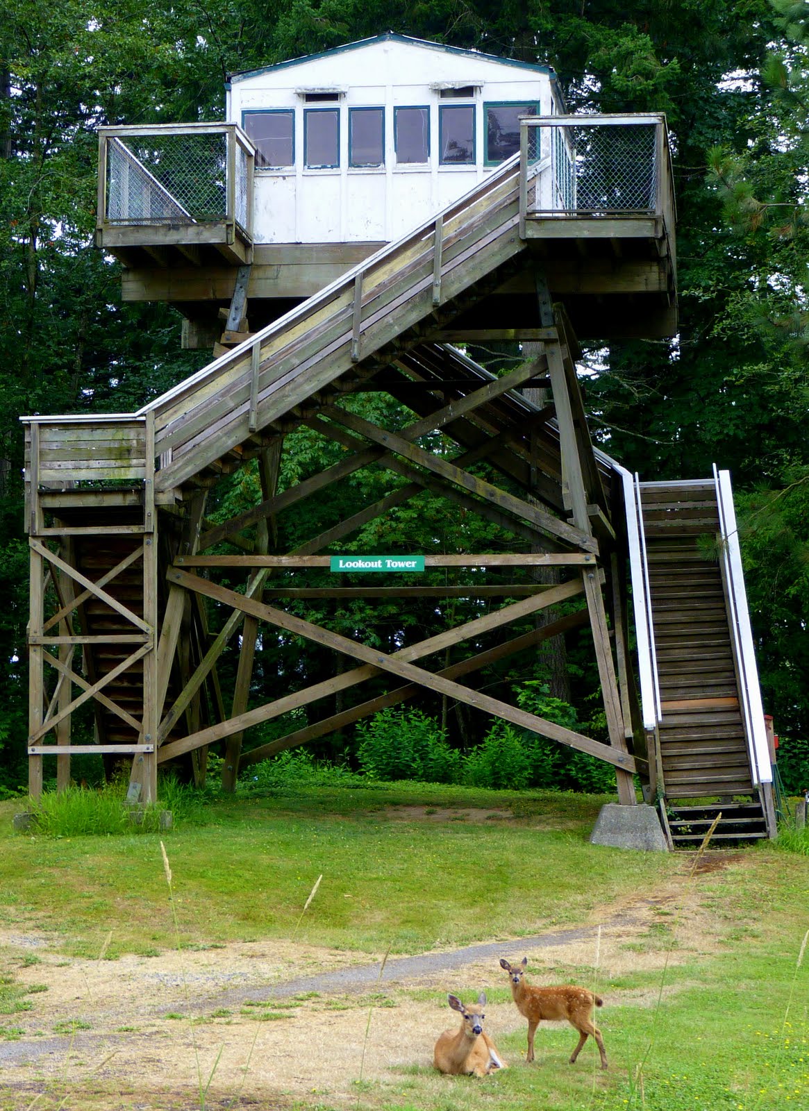 BC Forest Discovery Centre: Forest Fire Lookout Tower