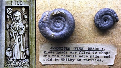 GLOSSOPETRAE: Fossil remains and popular culture