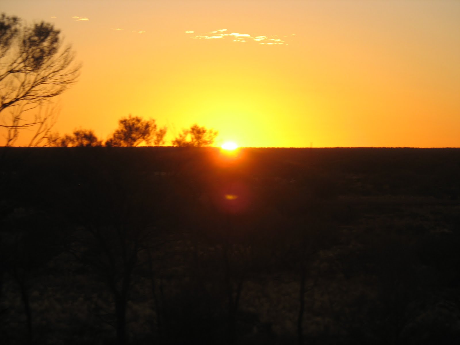 Out Back Trains: The Ghan 4AD8
