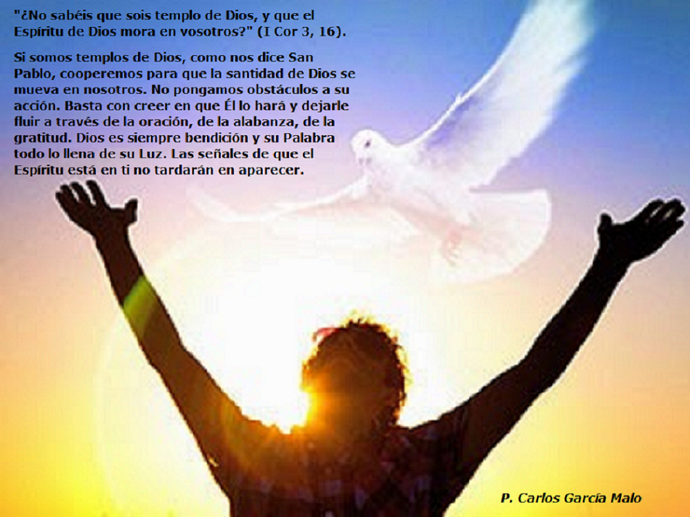 Camino Católico: «¿No sabéis que sois templo de Dios, y que el Espíritu ... Camino Católico: «¿No sabéis que sois templo de Dios, y que el Espíritu ...