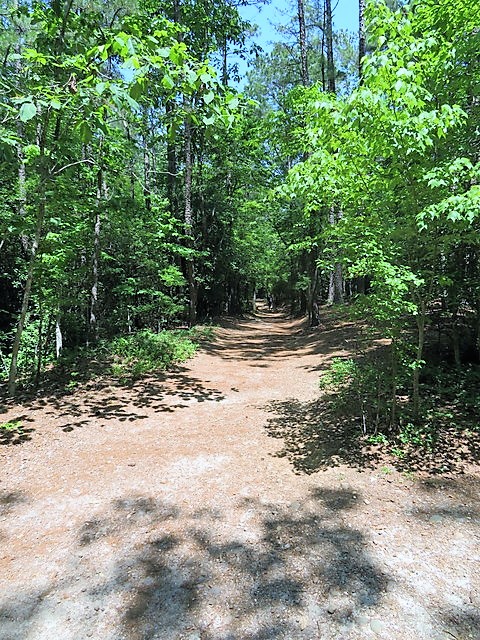Hiking with a Fat Bald White Guy: RAVEN ROCK STATE PARK - RAVEN ROCK ...