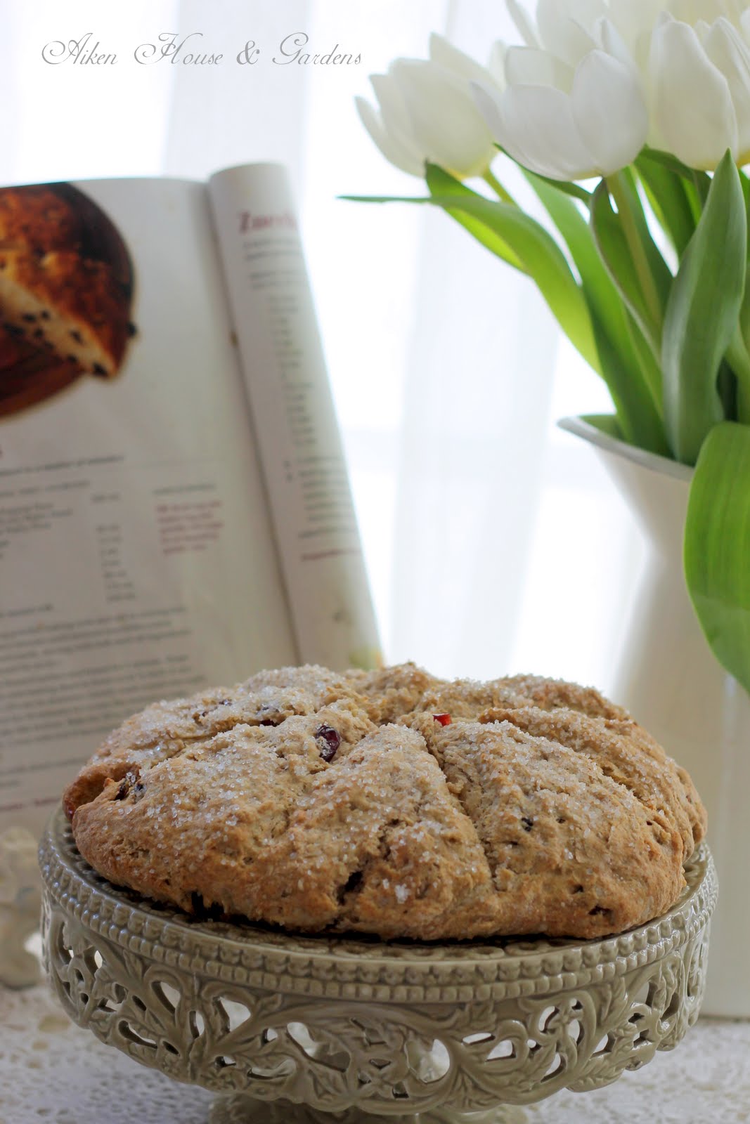 Aiken House & Gardens: Old English Fidget Pie & Scones