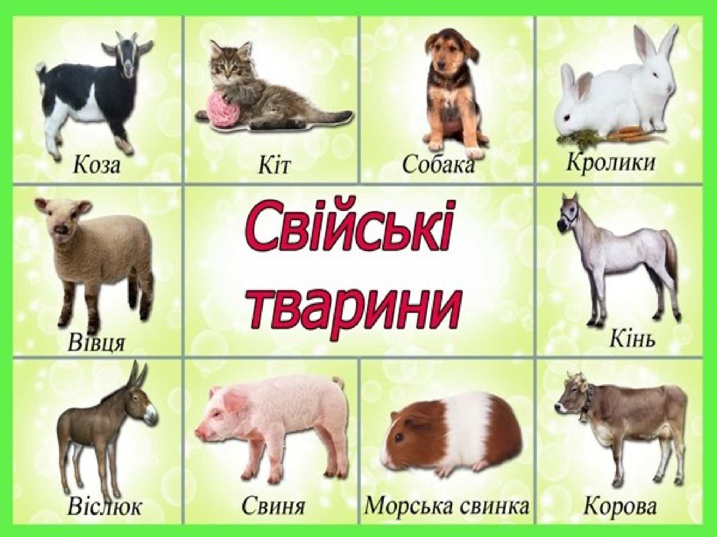 Блог учителя начальных классов Ефимович А.М.: 09.04.2020 Украинский язык