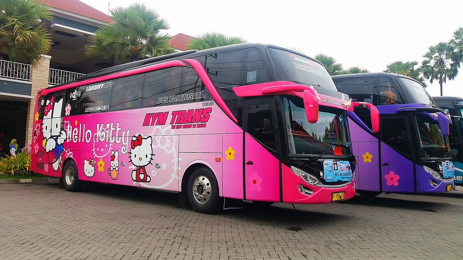 Foto Bis Kym Trans New Jetbus HD Pink - Kumpulan Foto Bis