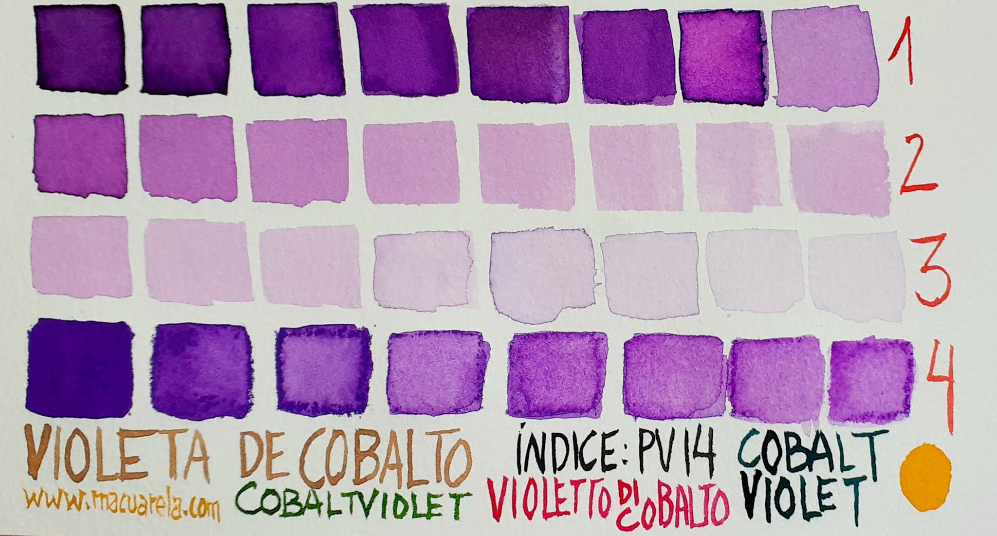 MACUARELA: EL VIOLETA DE COBALTO