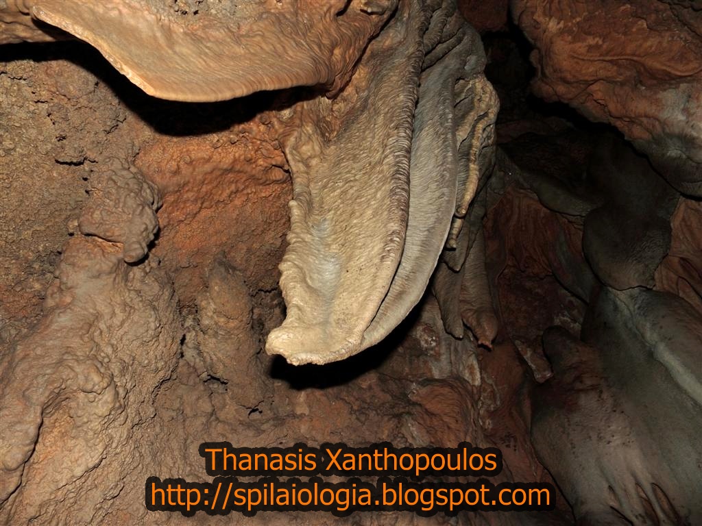 ΣΠΗΛΑΙΟΛΟΓΙΑ - SPELEOLOGY IN GREECE : ΣΠΗΛΑΙΟ ΔΡΑΚΟΤΡΥΠΑ ΟΡΟΣ ΜΑΙΝΑΛΟ (4)