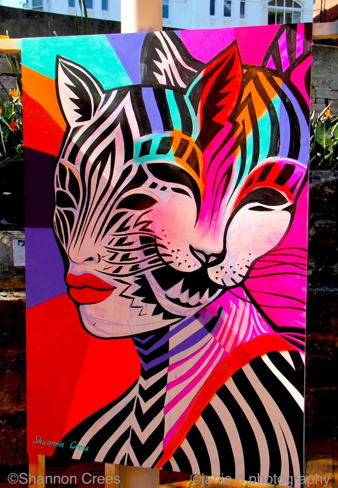 Street Art: 5 Questions with Shannon Crees