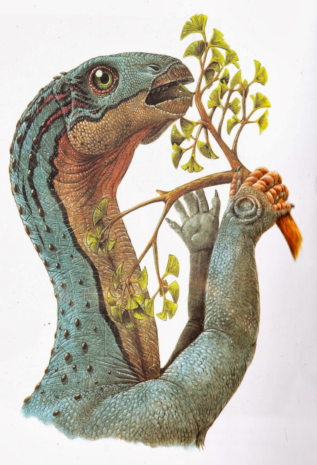 Antediluvian Salad: Strange Ornithopods of South America