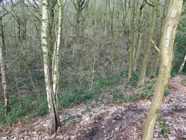 The Language of Stone: A Further Exploration of Treeton