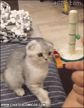 IMÁGENES DE HUMOR, GRACIOSAS, CHISTOSAS, DIVERTIDAS, SEXYS...: Jajajaja ...