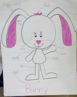 Teach it With Class: Bunny Fun in Room 4