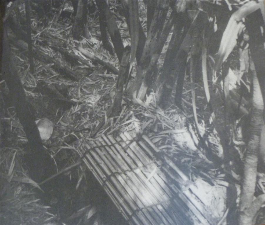 Jeff's Pirates Cove: The Story of a WWII Japanese Straggler on Guam ...