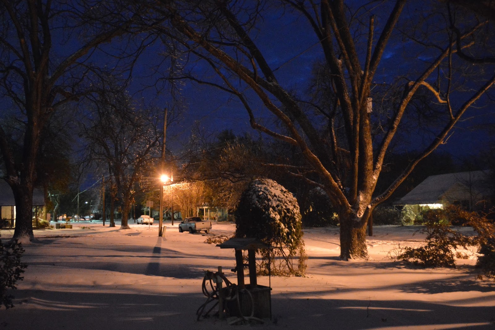 Terrell Daily Photo: 3/1/15 - 4/1/15