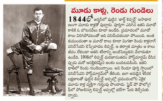 CHODAVARAMNET: A MAN WITH THREE LEGS AND TWO HEARTS - GEORGE LIPPERT